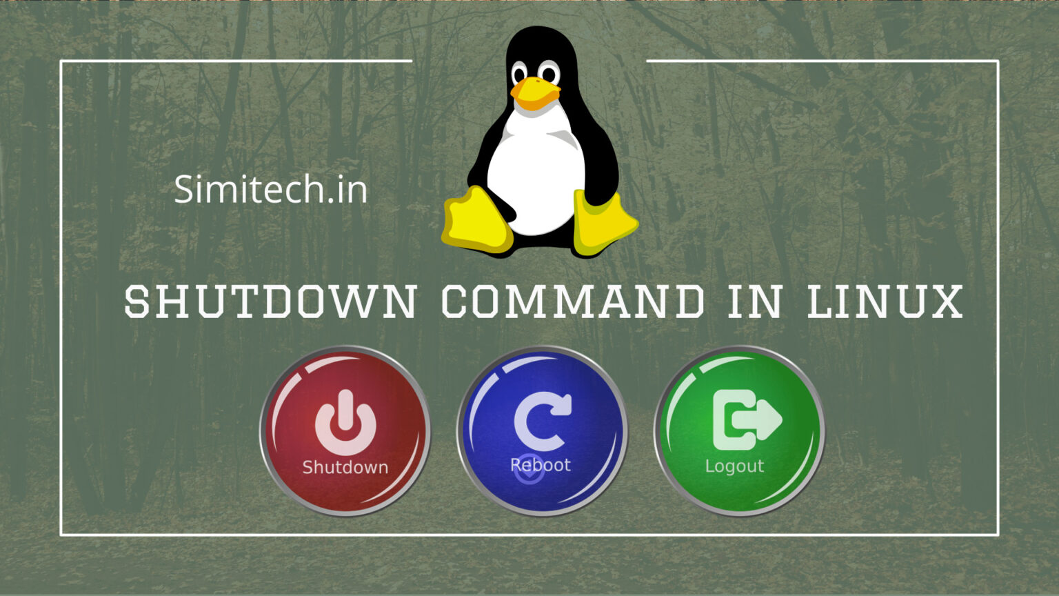 Vim Commands In Linux With Examples Basic And Advance 1019